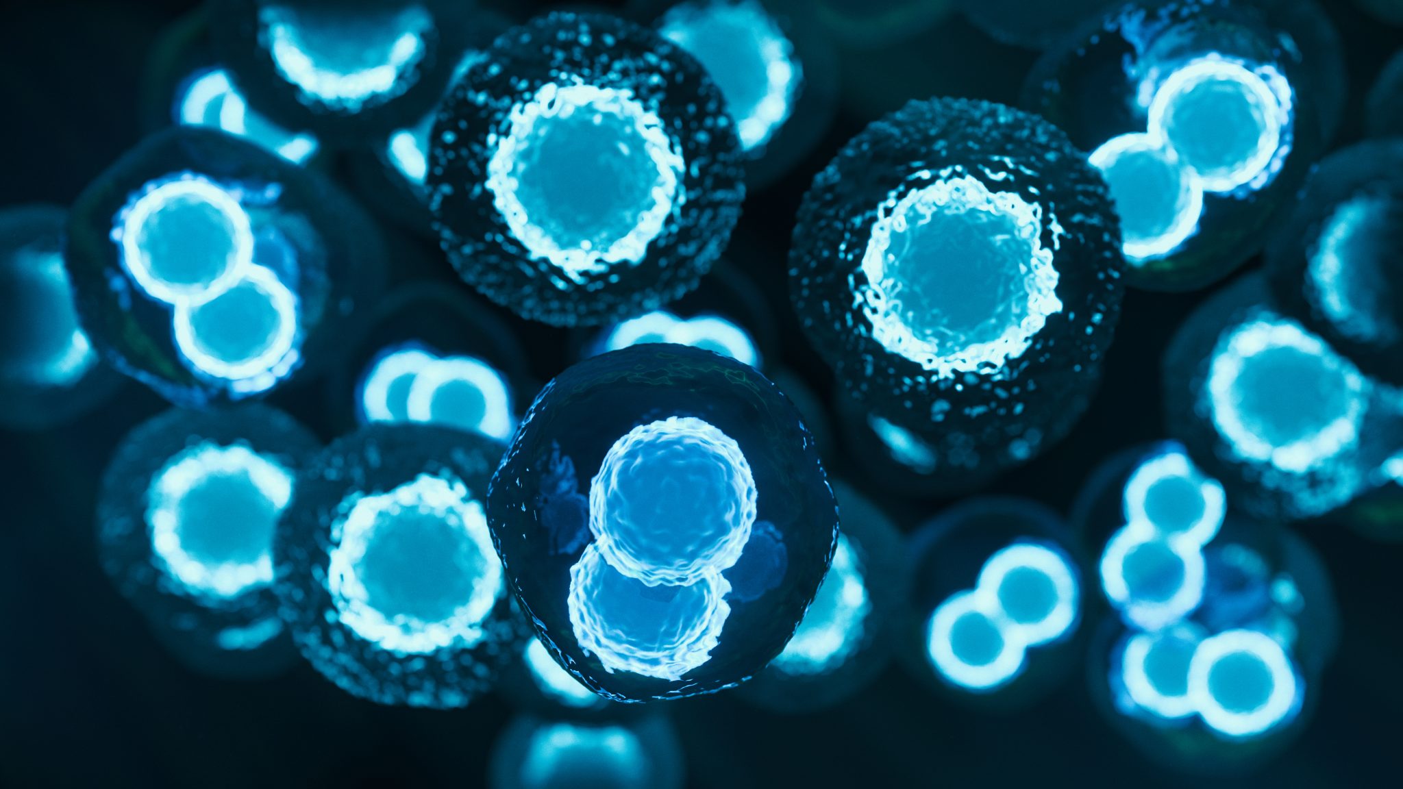 "Human Pluripotent Stem Cells Twenty-Five Years On" Webinar | Office of ...